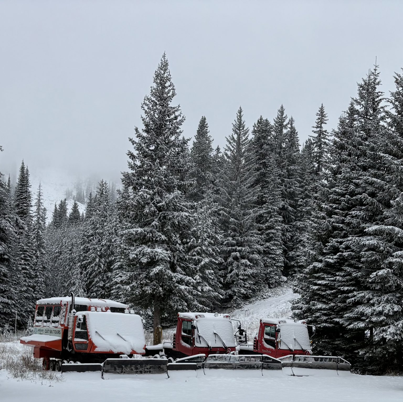 And it begins! - Anthony Lakes Mountain Resort